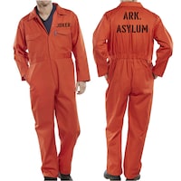 Insane Asylum - Etsy