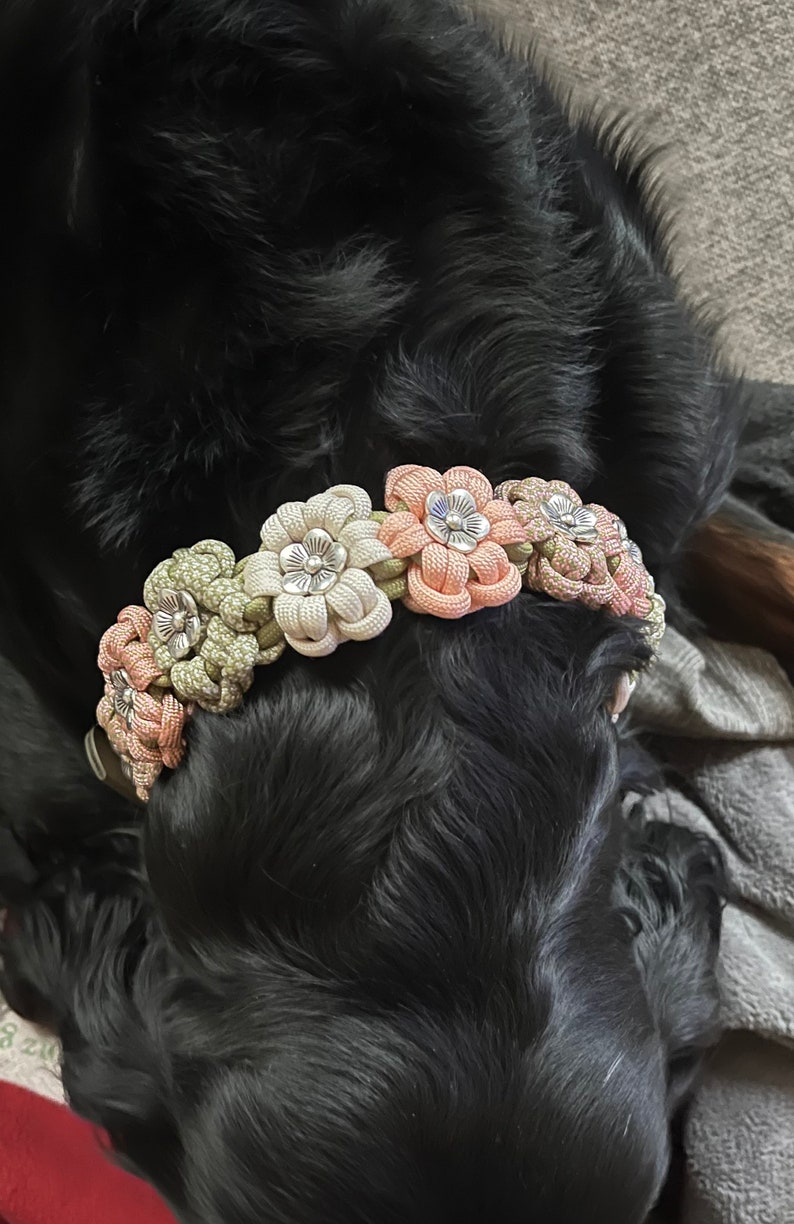 Flower Power Collar Paracord Biothane - Etsy