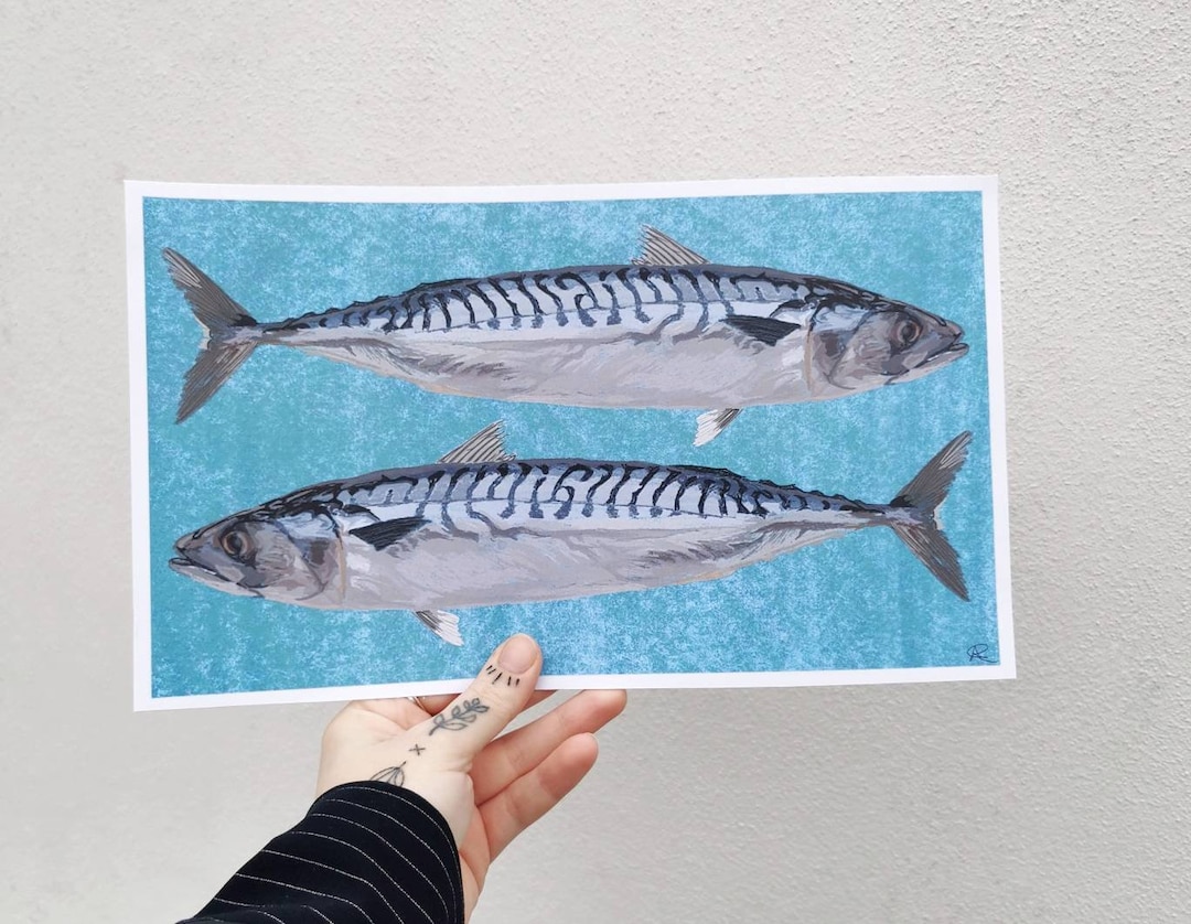 Cornish Mackerel Print - Etsy UK