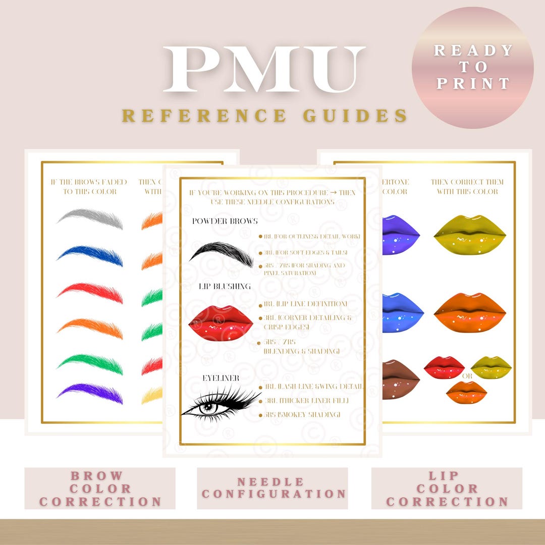 PMU Reference Guide Charts | Brow, Lip & Eyeliner (instant Download) - Etsy