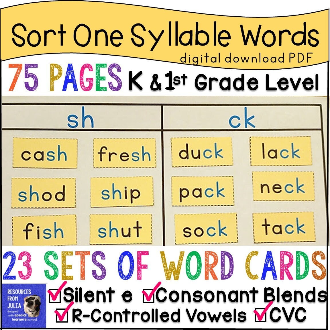 Reading Decoding and Sorting Single Syllable Words With Silent E ...