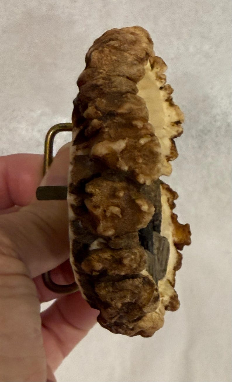 Hebilla de cinturón vintage de 1987 tallada a mano en asta de ciervo ...