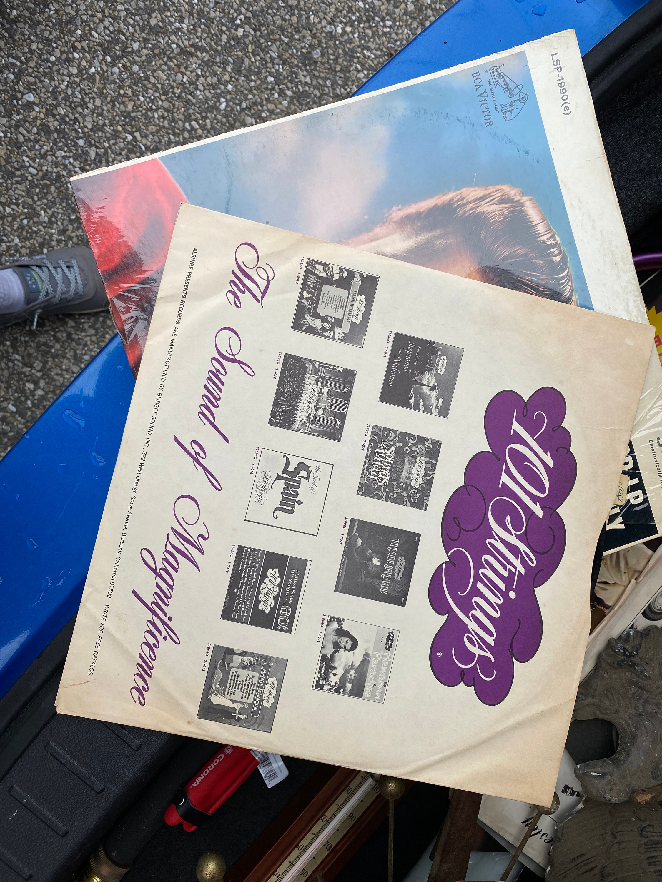 1965 RCA Elvis Presley for LP Fans Only Double Sided Face Misprint 1990 ...