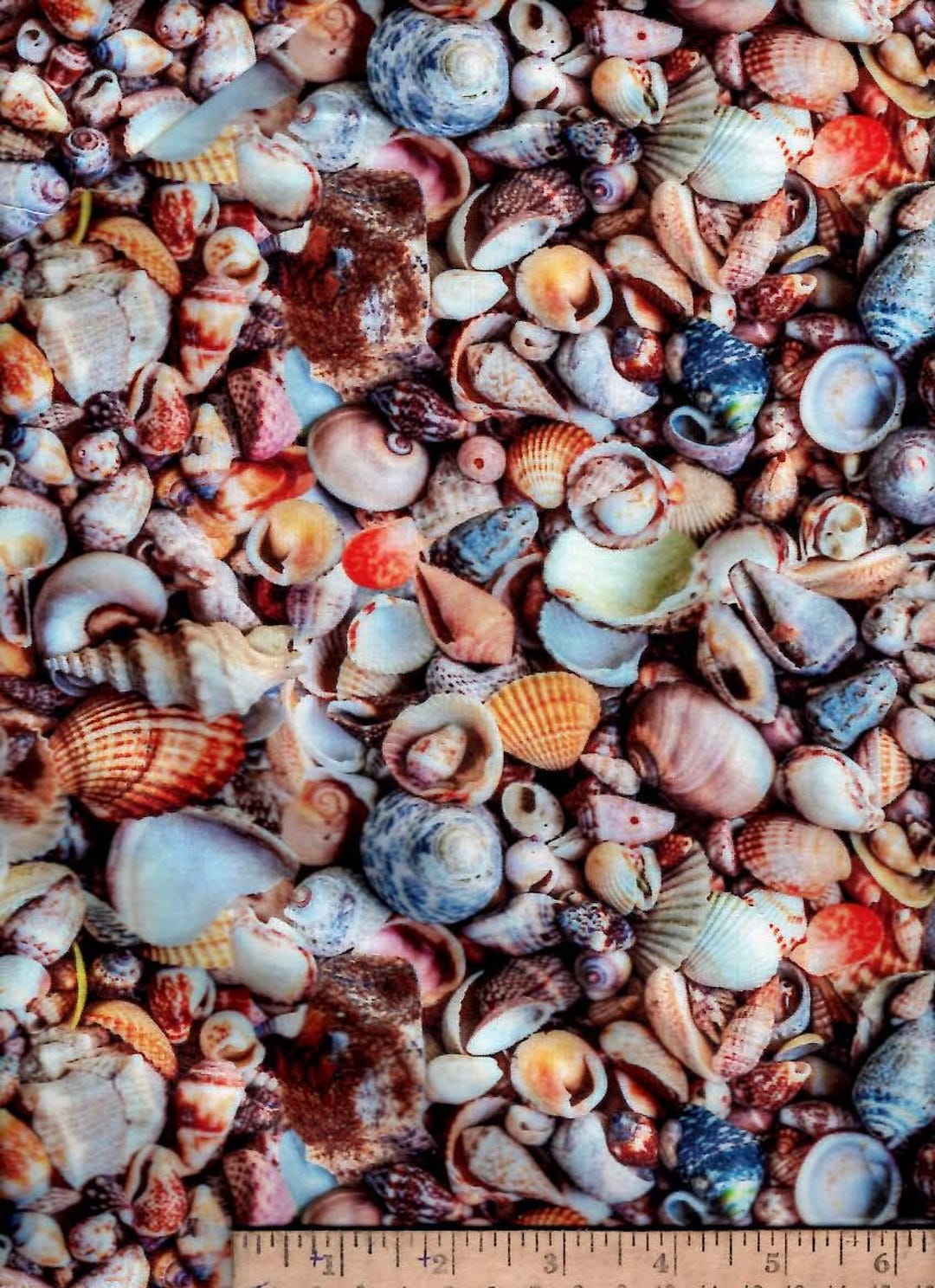 Seashells Sand Ocean Sea Cotton Fabric 1/2 Yard Oop - Etsy