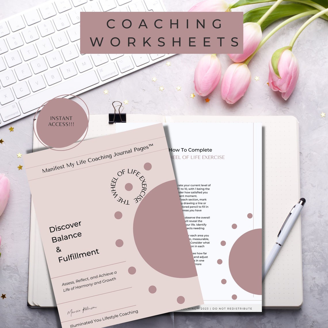 Wheel of Life Coaching Sheets Package PDF DOWNLOAD Wheel of Life ...