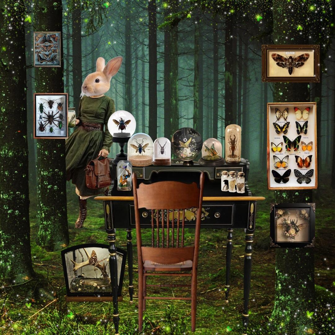 The Bug Collector - A Pinned-bug, Mud, Moss, and Moonlight Perfume - Etsy