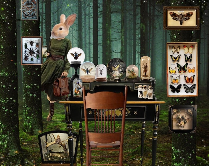 The Bug Collector - A Pinned-bug, Mud, Moss, and Moonlight Perfume - Etsy