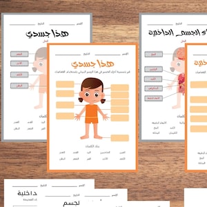 Arabic Human Anatomy for Kids | Body Parts in Arabic | Organs in Arabic ...
