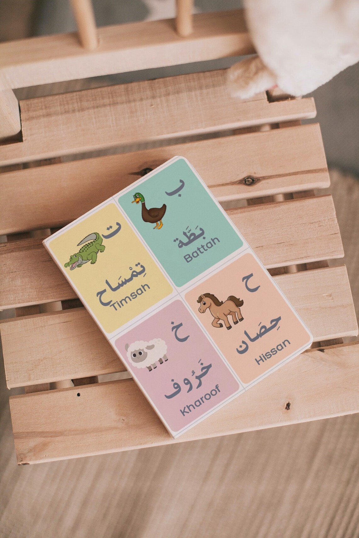 Animal Flashcards, Arabic Letters, Alphabet, Colors, Homeschool, Fiche ...