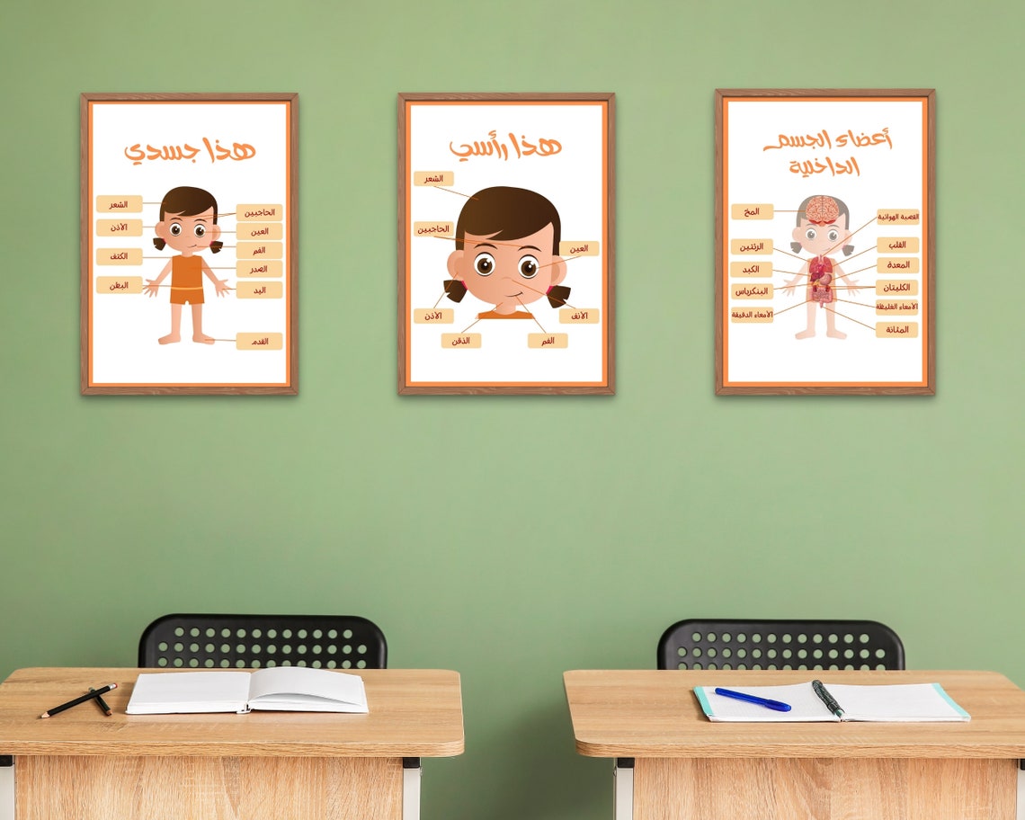 Arabic Human Anatomy for Kids | Body Parts in Arabic | Organs in Arabic ...