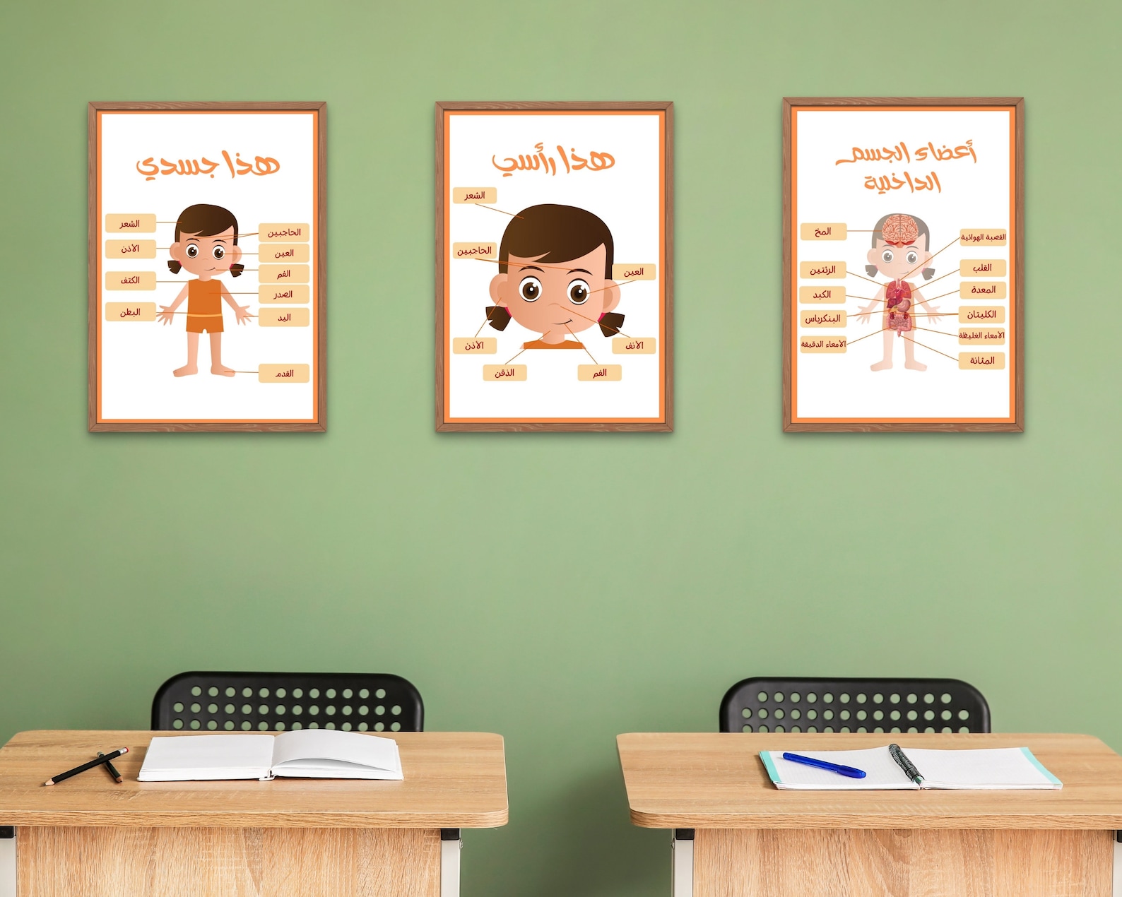 Arabic Human Anatomy for Kids | Body Parts in Arabic | Organs in Arabic ...