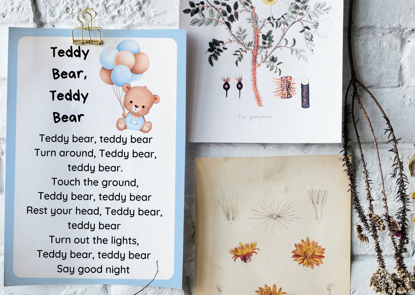 36 Nursery Rhyme Cards | Preschool Learning | Preschool Songs | SEN ...