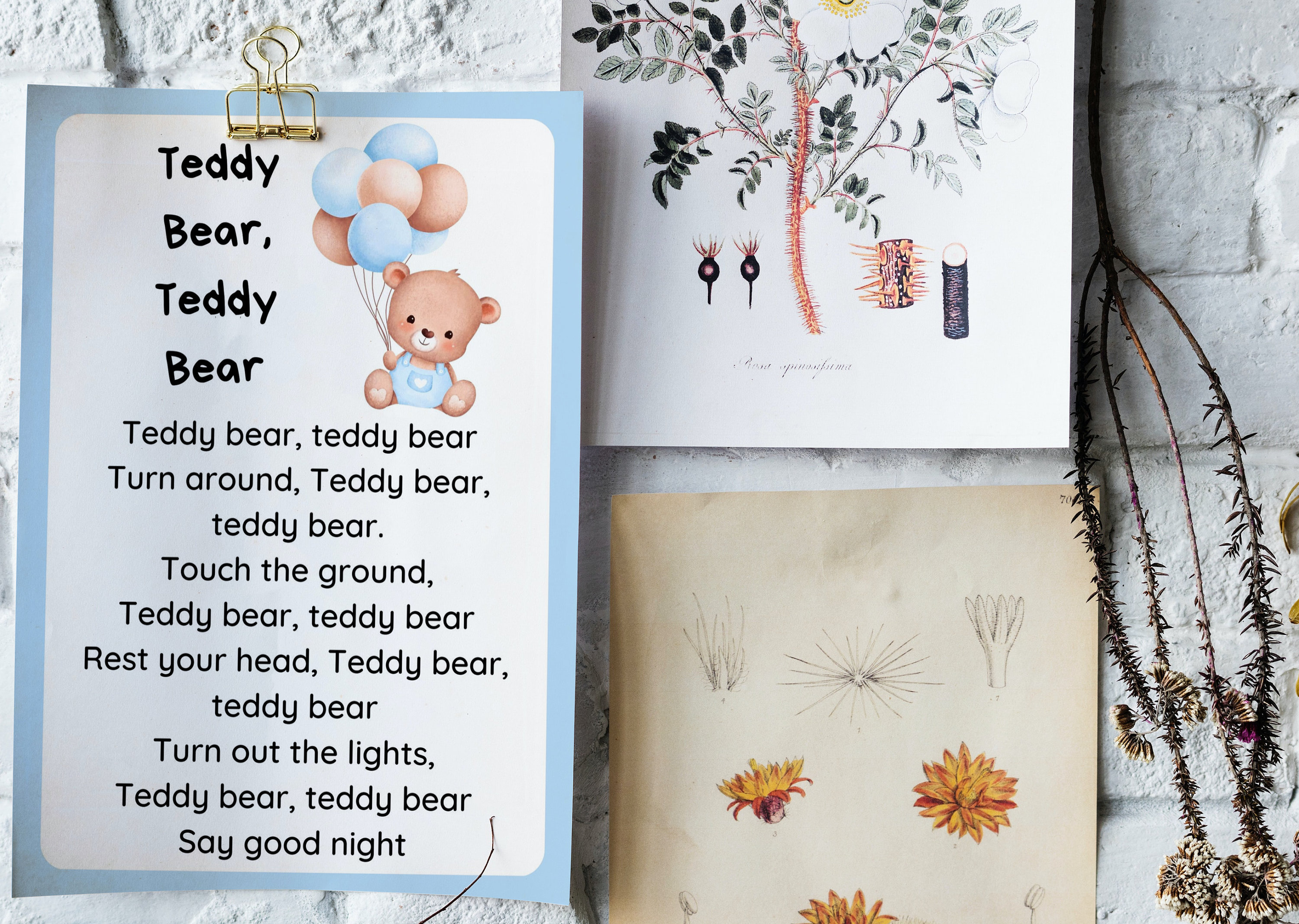 36 Nursery Rhyme Cards | Preschool Learning | Preschool Songs | SEN ...