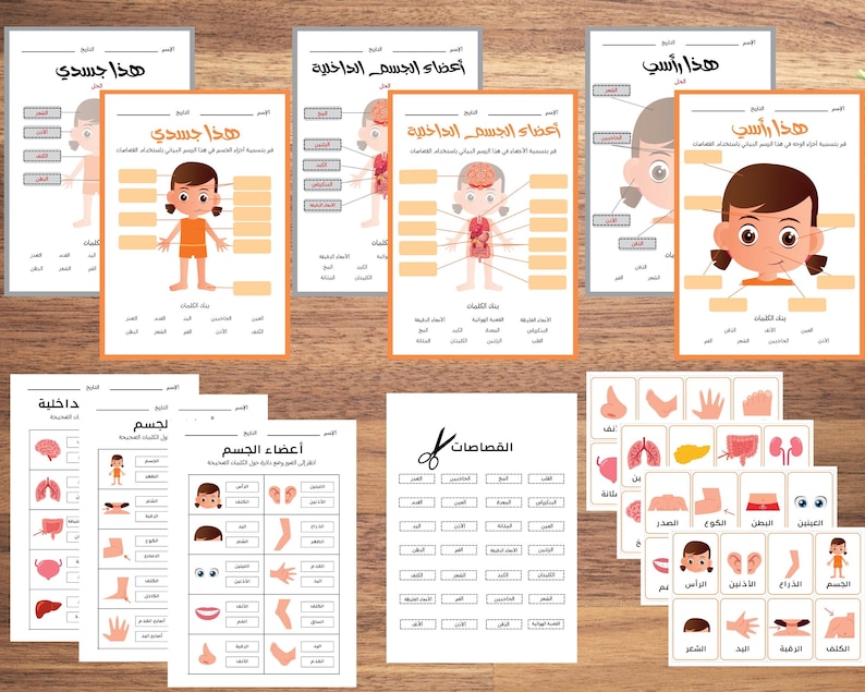 Arabic Human Anatomy for Kids | Body Parts in Arabic | Organs in Arabic ...