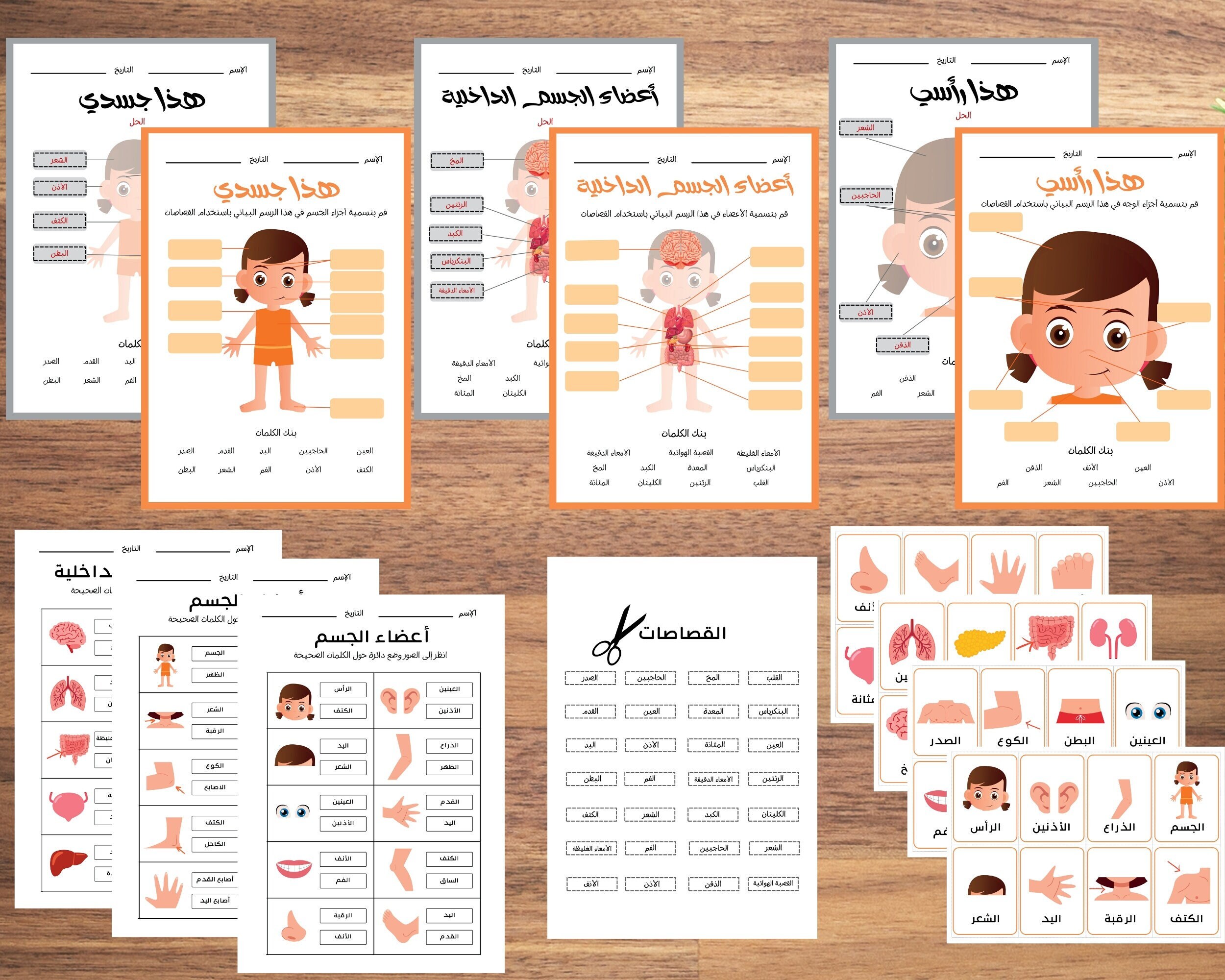 Arabic Human Anatomy for Kids | Body Parts in Arabic | Organs in Arabic ...