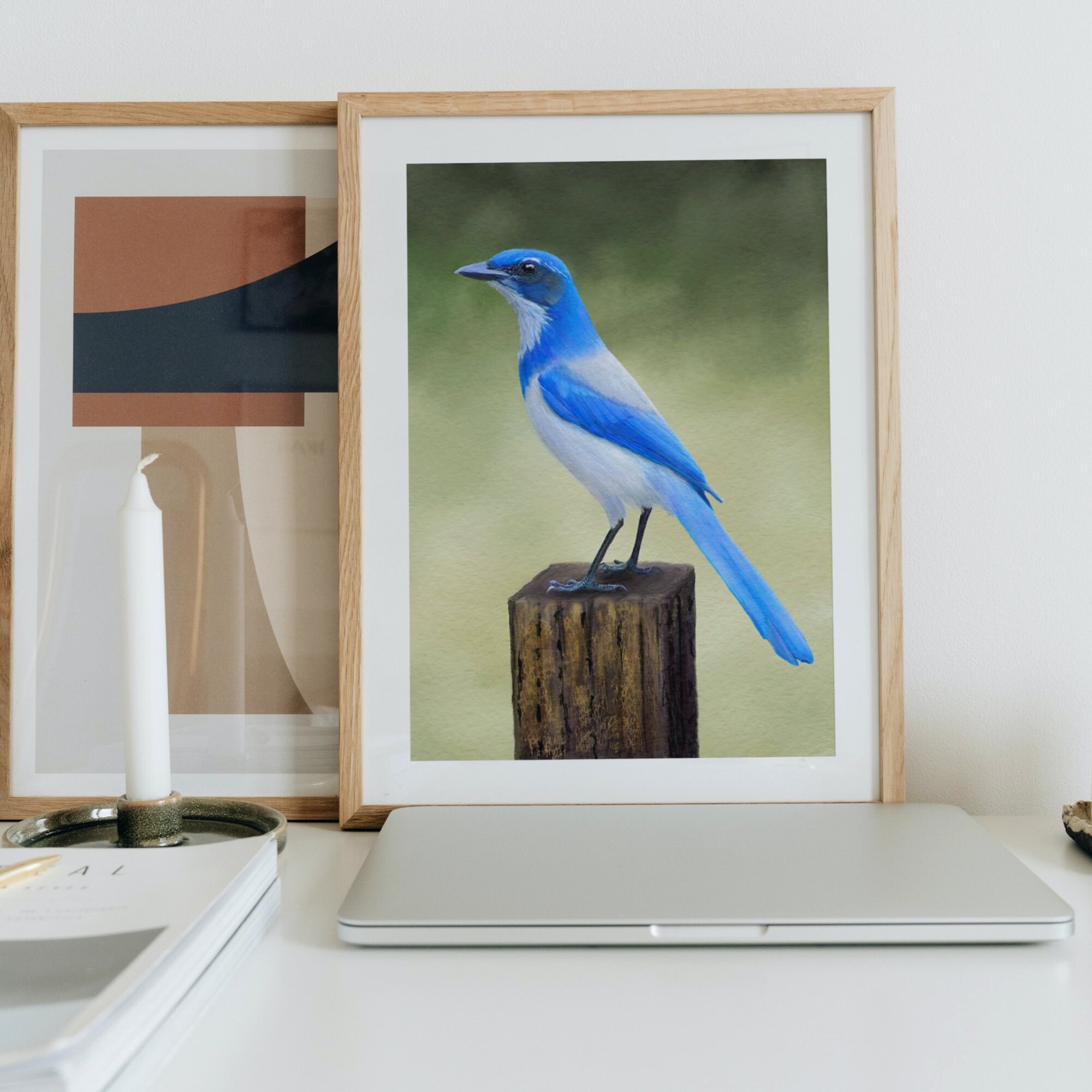 Scrub Jay Art Print, Blue Jay Wall Art, Jay Bird, Wildlife Art, Nature ...