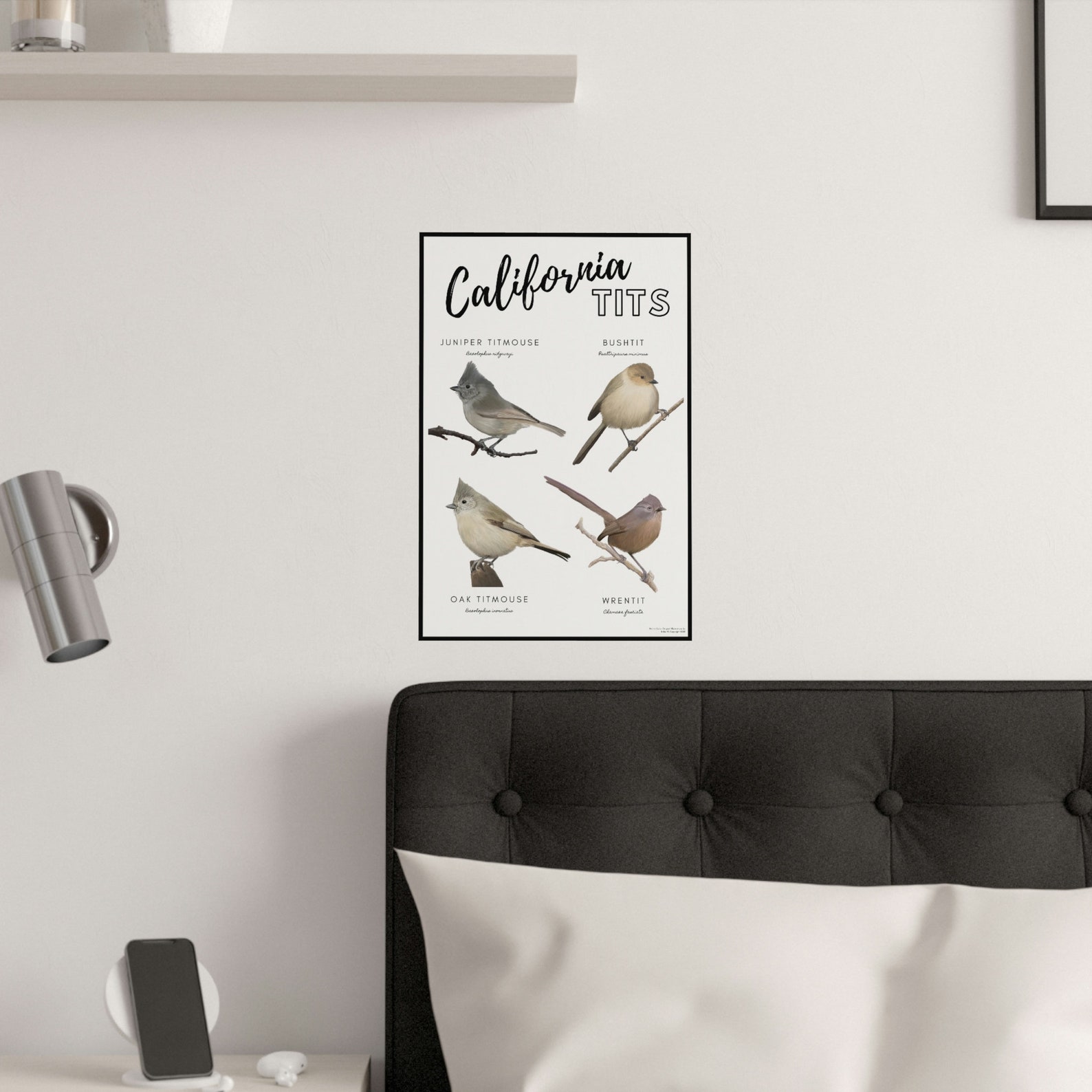 California Tits Poster, Tit Birds Art Decor, Titmouse Wall Art, Titmice ...