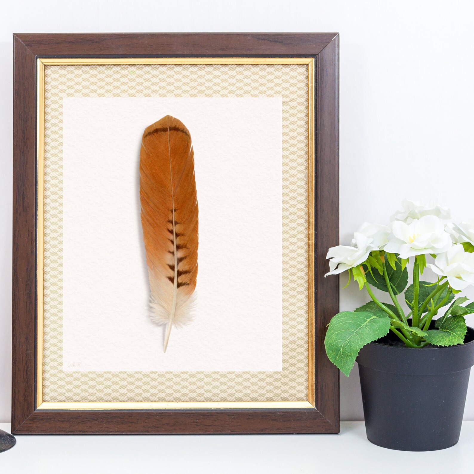 Red Tailed Hawk Art Feather Decor Print, Hawk Feather Natural Boho Wall ...