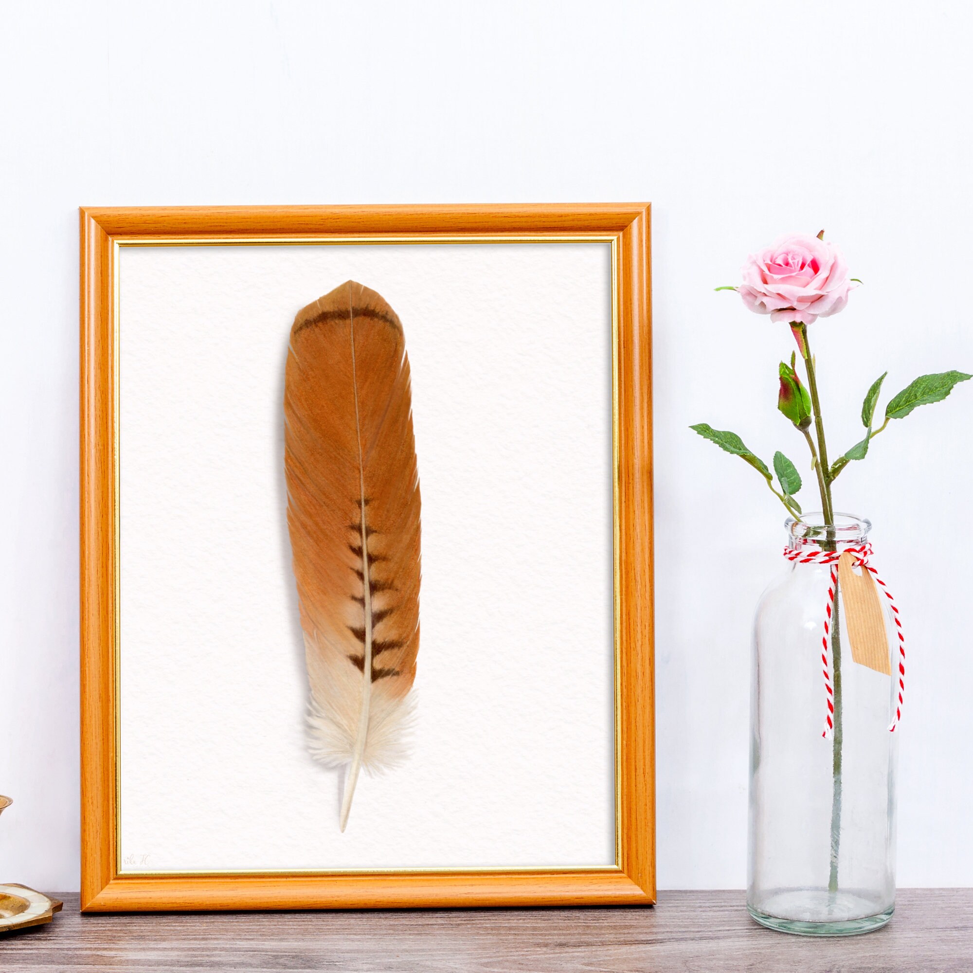 Red Tailed Hawk Art Feather Decor Print, Hawk Feather Natural Boho Wall ...