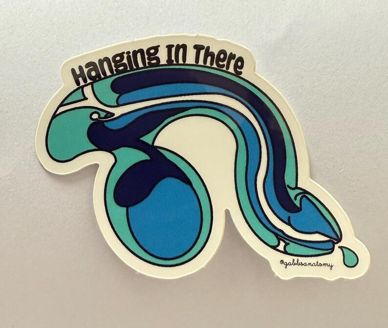 Male Anatomy Sticker - Etsy
