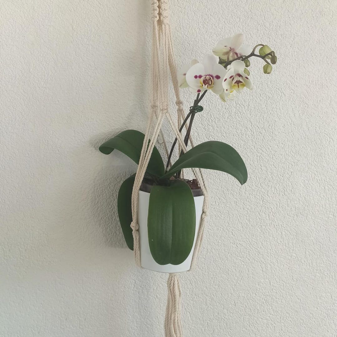Flower Pot Holder Macrame Rope, Plant Holder, Handmade Macrame Plant ...