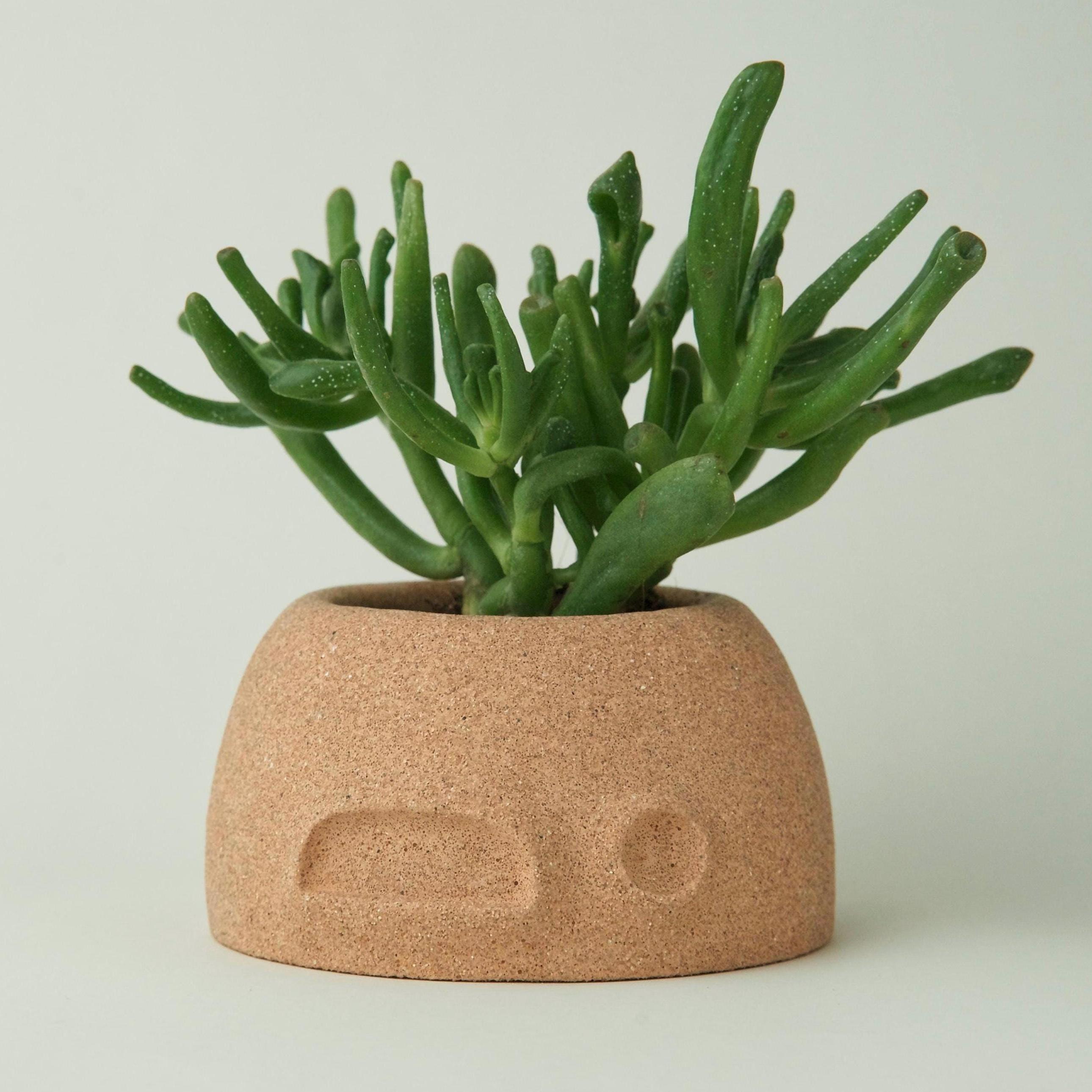Concrete Planter, Mini House Pot, Fairy Garden House, Terrarium ...