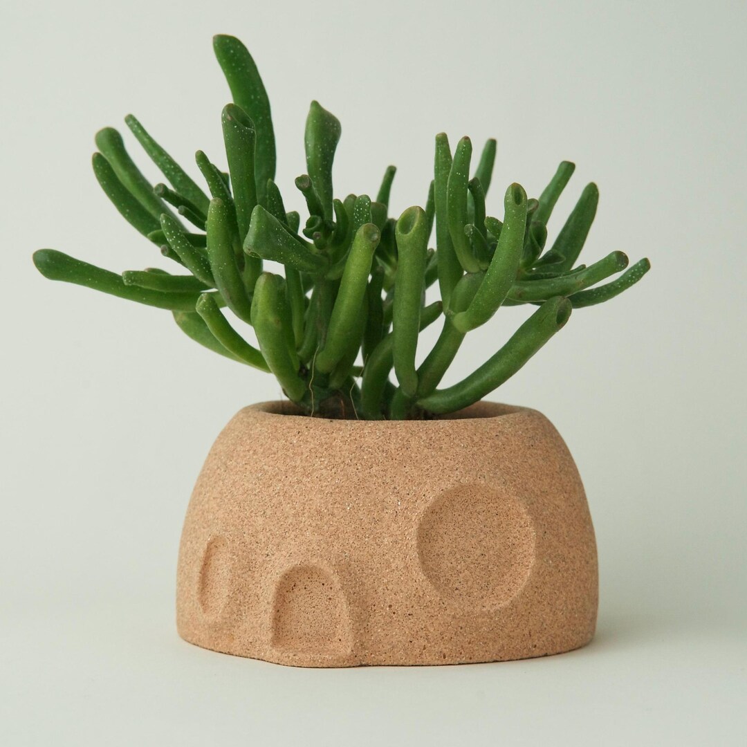 Concrete Planter, Mini House Pot, Fairy Garden House, Terrarium ...