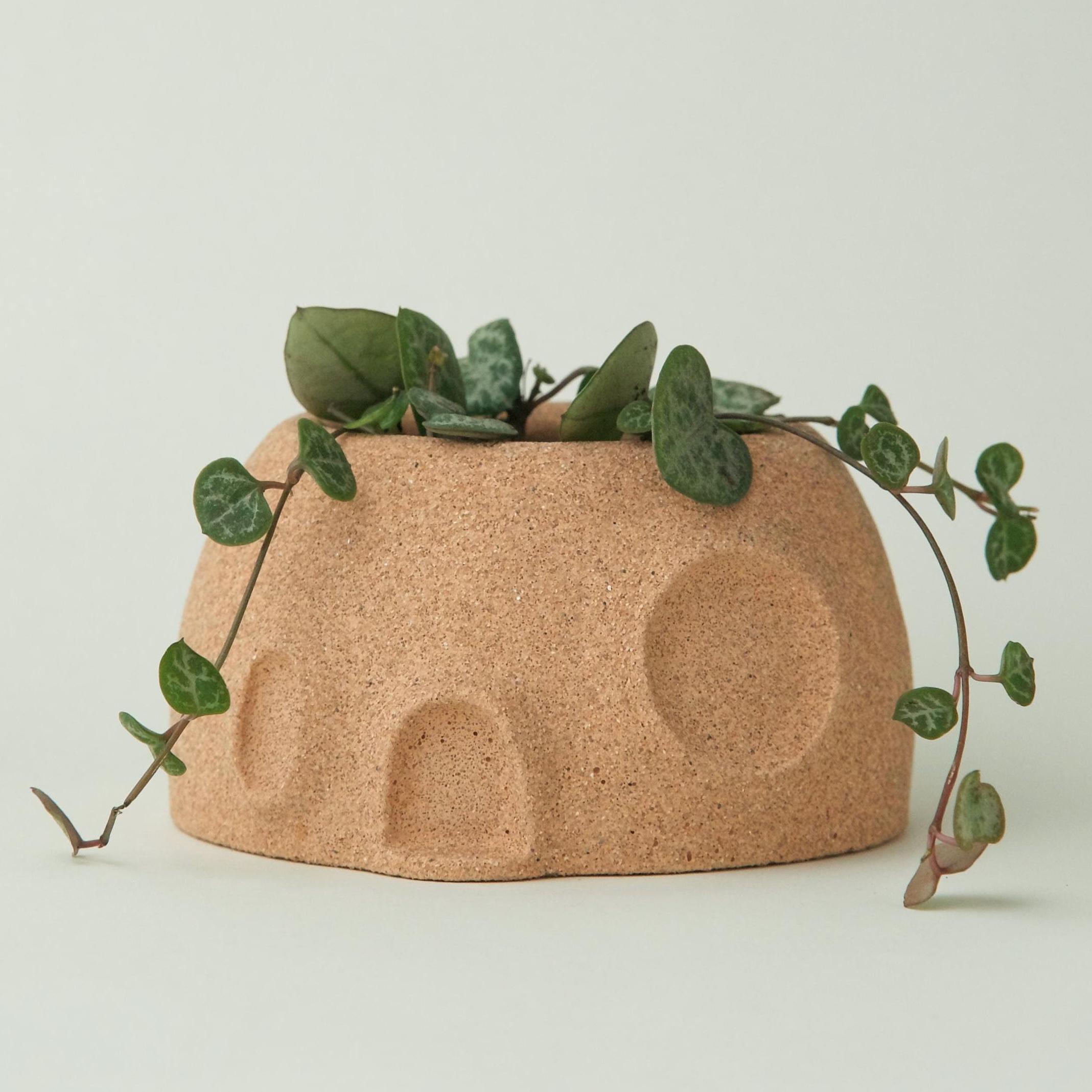 Concrete Planter, Mini House Pot, Fairy Garden House, Terrarium ...