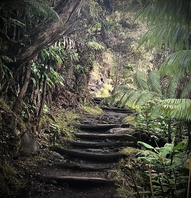 Beautiful Steps Found on a Hike in Hawaii! - Etsy