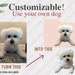 DOGS Desktop Folder Icons + BONUS Wallpaper, Mac + Windows Folder Icons ...