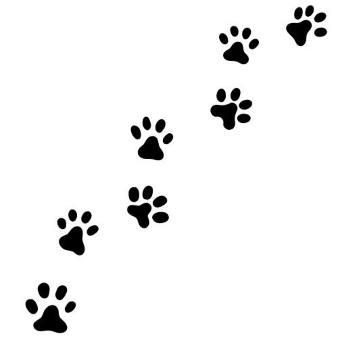 Paw, Paw Print, SVG, JPG, PNG, Instant Download Digital Download - Etsy