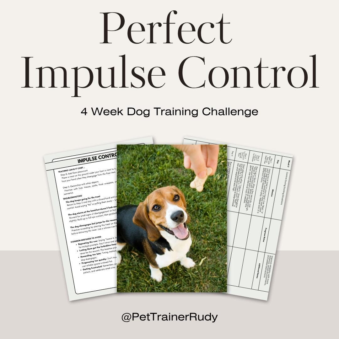 Dog Training Plan PDF: 4-week Impulse Control Program + Bonuses ...