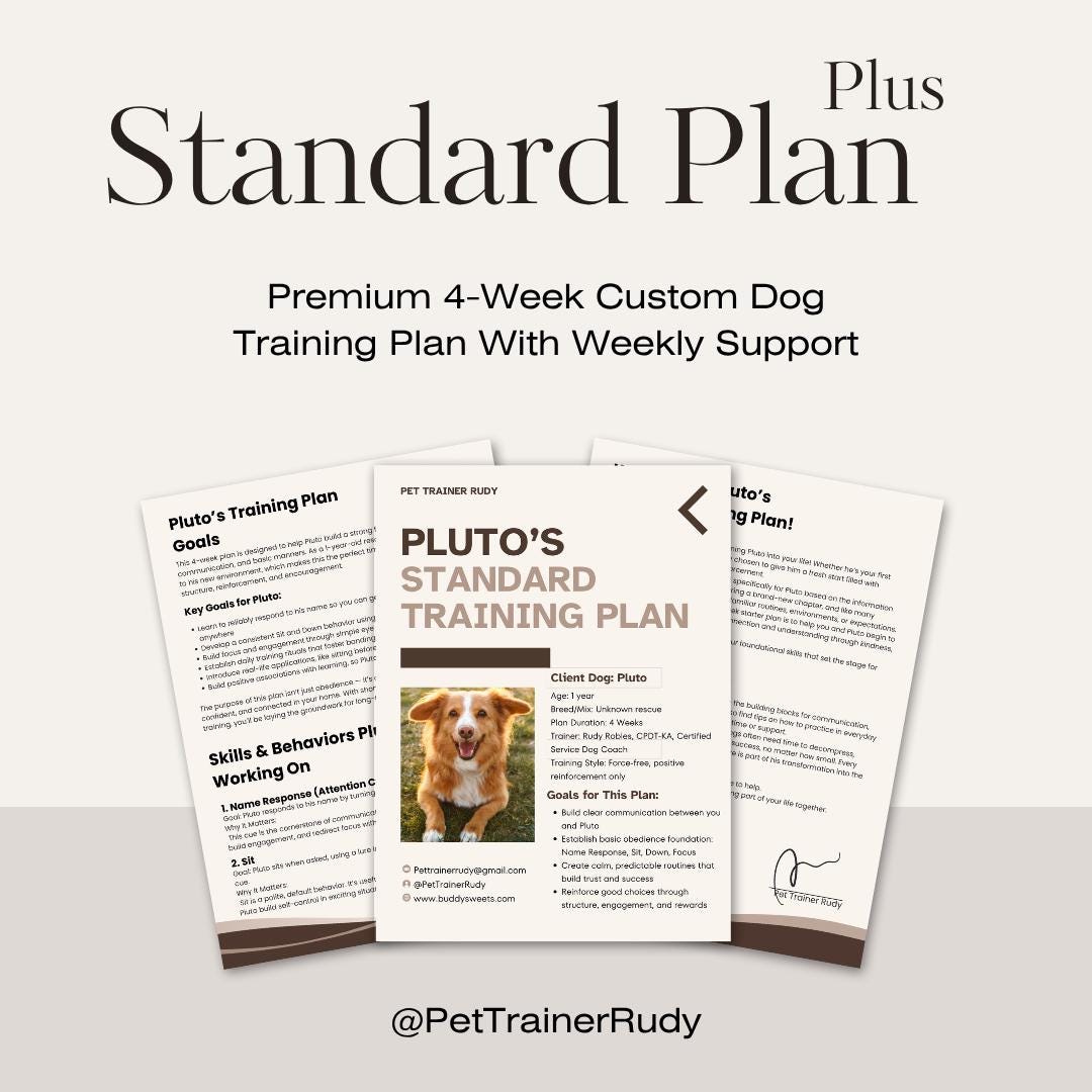 Premium 4-week Dog Training Plan With Phone + Email Support | Custom ...