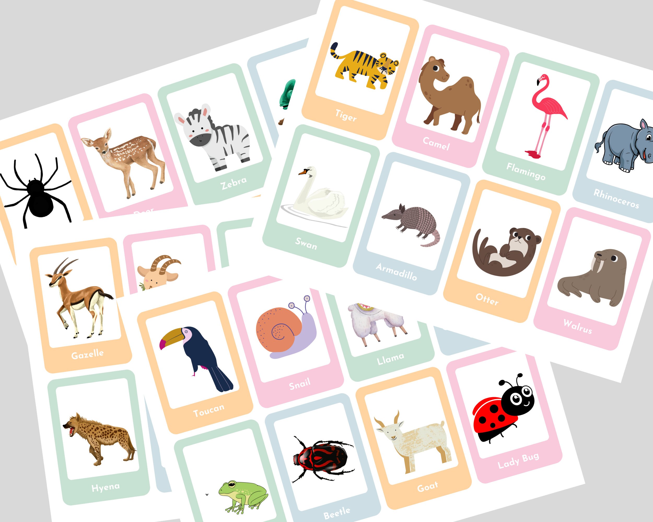 80 Animal Flashcards Domestic Animals Toddler Flashcards Montessori ...