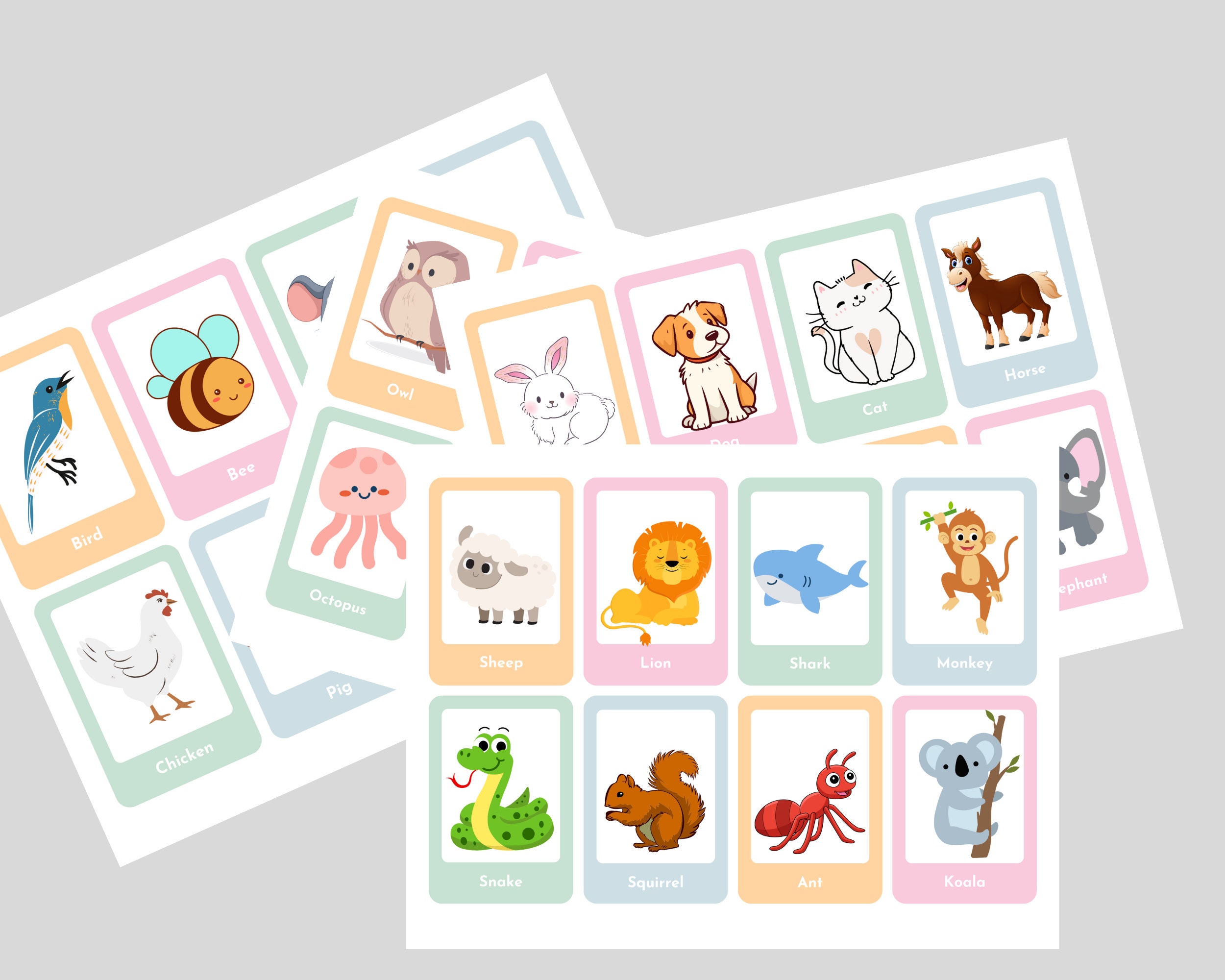 80 Animal Flashcards Domestic Animals Toddler Flashcards Montessori ...