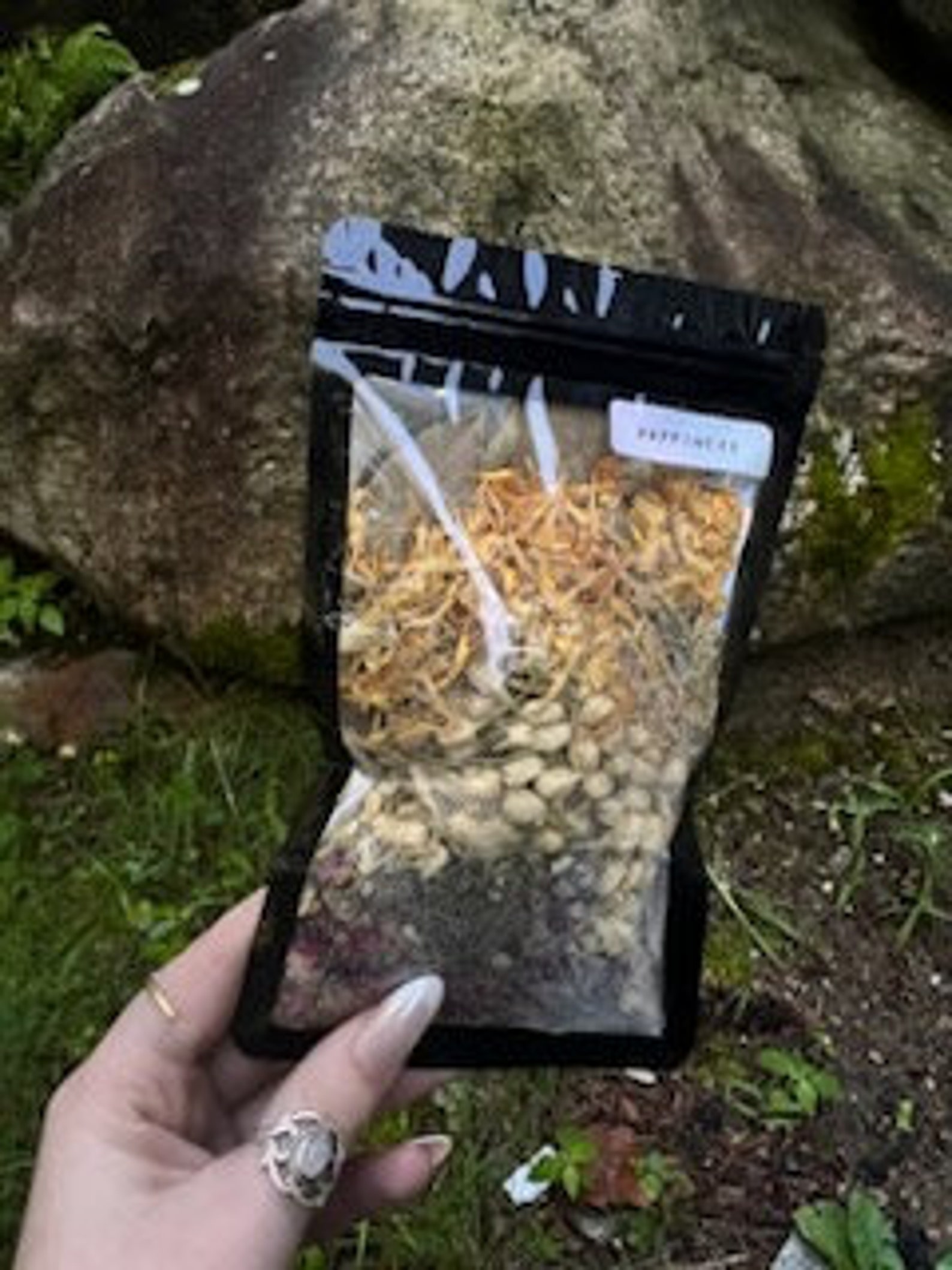 Large Simmer Pot Spells/simmering Potpourri/simmer Pot/potpourri Kit ...