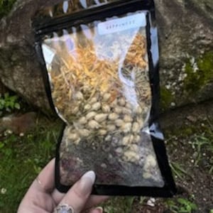 Simmer Pot Spells/simmering Potpourri/simmer Pot/potpourri Kit/luck ...