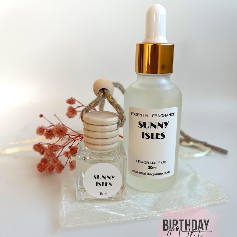 Hanging Oil Car Diffusers - Etsy