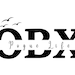 Outer Banks TV Show OBX Digital Design - Etsy