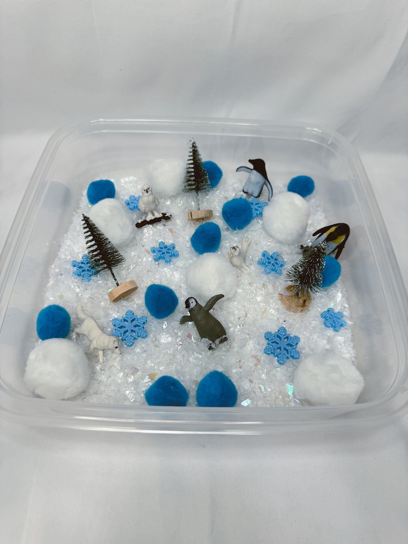 Winter Sensory Bin, Sensory Play, Fine Motor Play, Learn and Play - Etsy