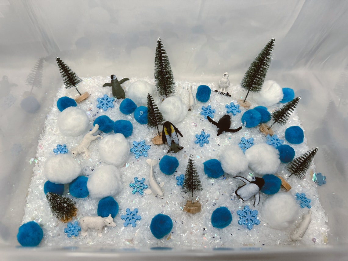 Winter Sensory Bin, Sensory Play, Fine Motor Play, Learn and Play - Etsy