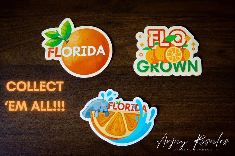 Florida Orange Vinyl Sticker | Florida State Fruit Sticker | Laptop ...