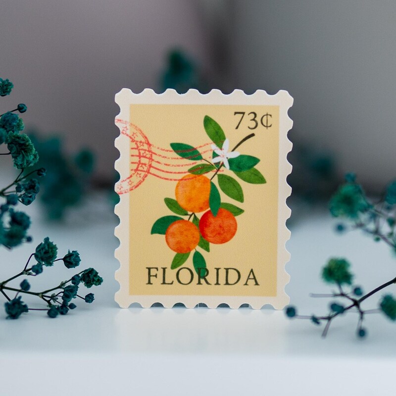 Florida Oranges - Etsy