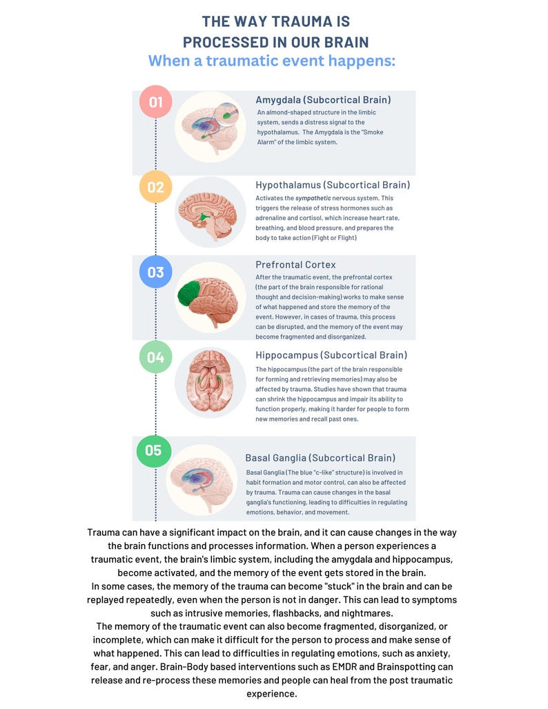 Trauma and the Brain | Printable Psychoeducation Handout | Therapy ...