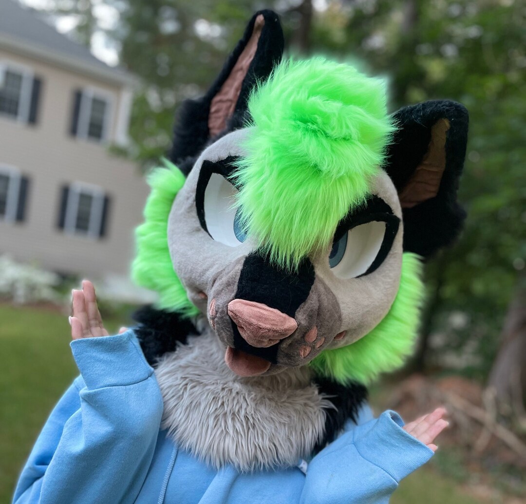 Partial Dino Dog Fursuit - Etsy