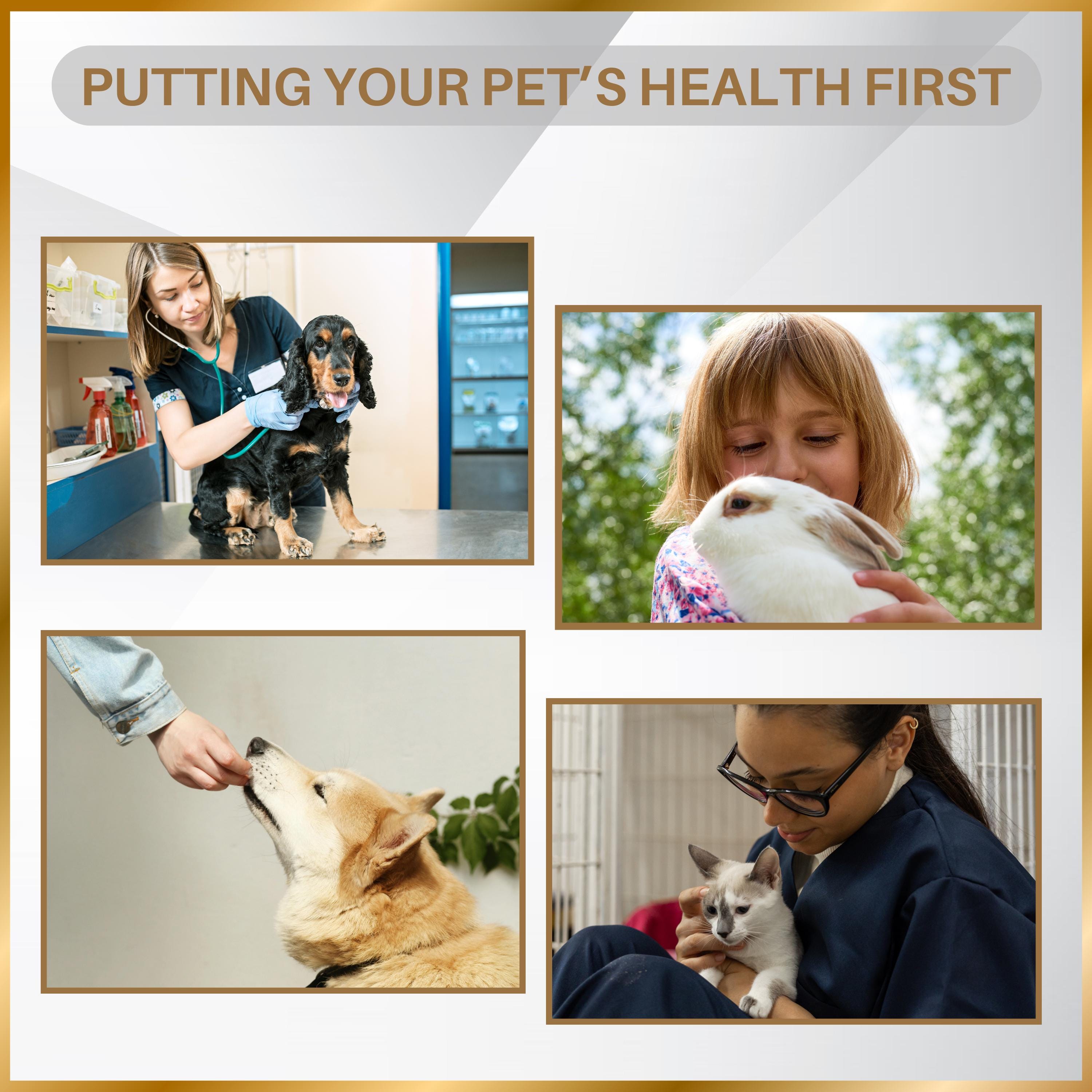 Emergency Vet Authorization Form: Pet Sitter Consent Template ...