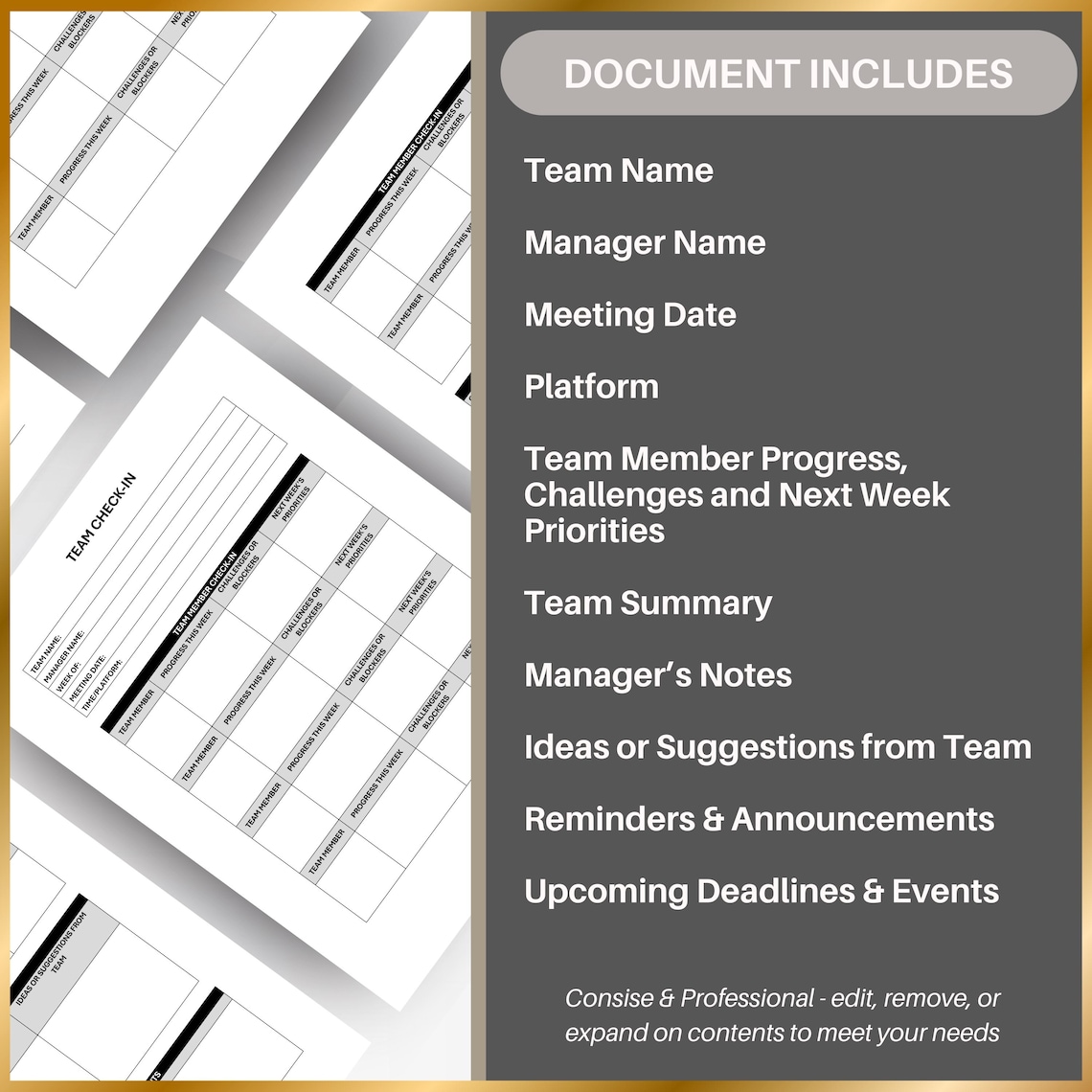 Weekly Team Check-in Template: Meeting Update Form (printable PDF ...