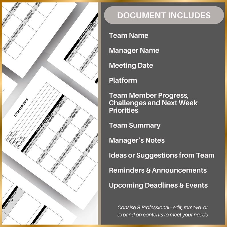 Weekly Team Check-in Template: Meeting Update Form (printable PDF ...