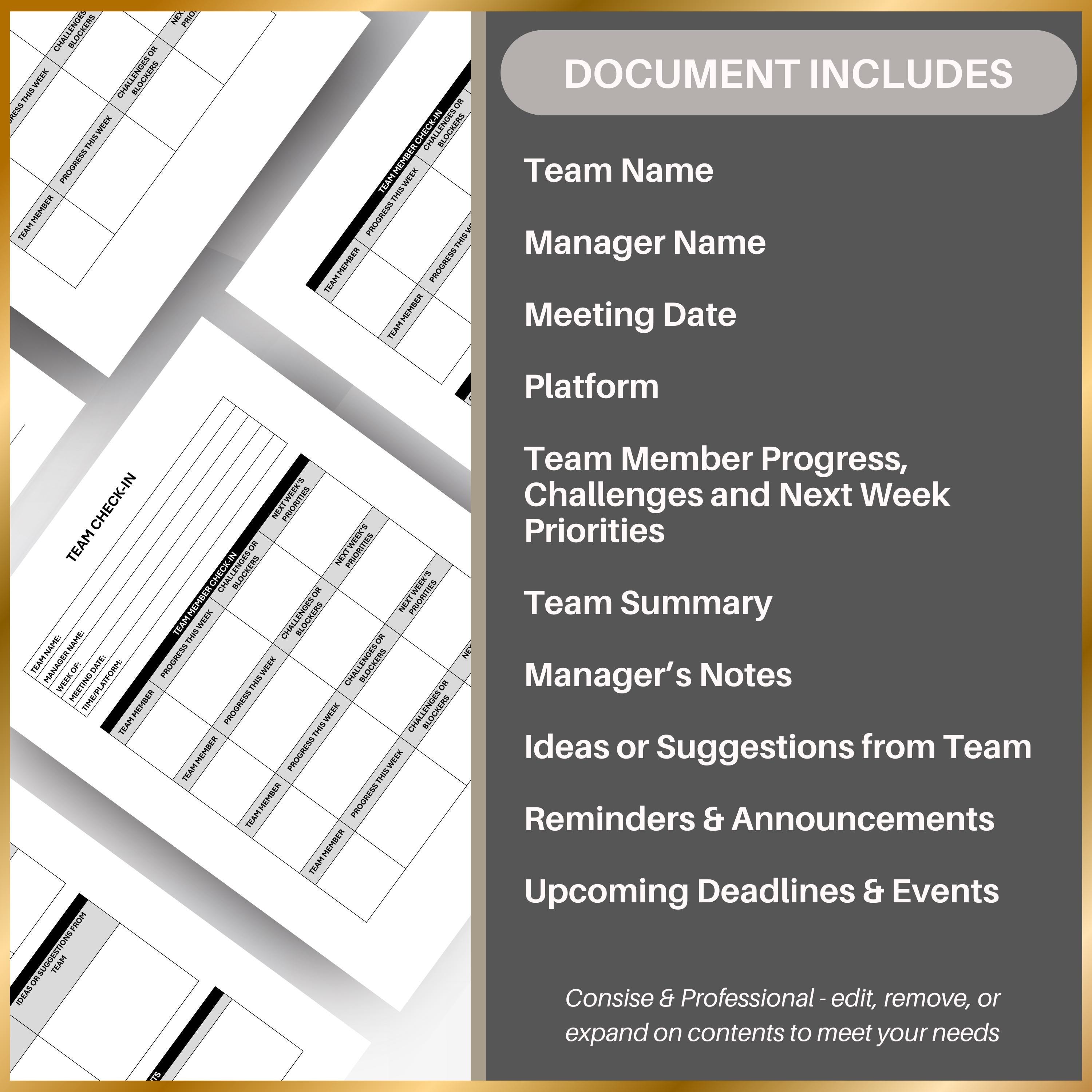 Weekly Team Check-in Template: Meeting Update Form (printable PDF ...