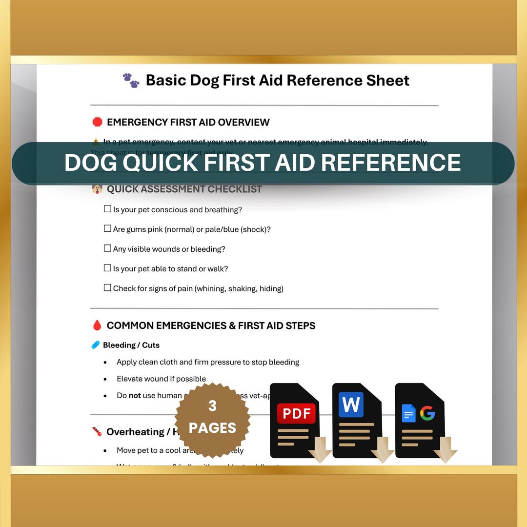 Dog First Aid Guide: Pet Emergency Checklist and Care Guide for Owners ...